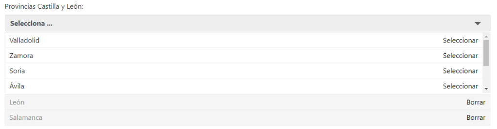 Selector múltiple decorado con JavaScript (OOP) y CSS - Red Code'